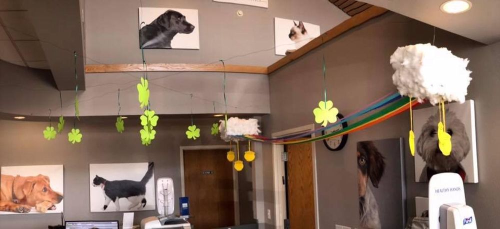 GENTLE DOCTOR ANIMAL HOSPITAL - Updated August 2024 - 122 Photos & 28 ...