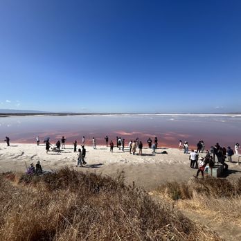 ALVISO MARINA COUNTY PARK - Updated July 2024 - 1518 Photos & 209 ...