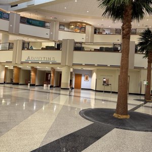 VITAL IMAGING CENTER- HOMESTEAD CENTER - Updated December 2025 - 35 ...