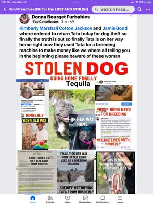 DIRK BUTCHKO PRO VET - Updated December 2025 - 165 Photos & 369 Reviews ...