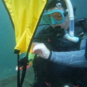 ATLANTIC PRO DIVERS - Updated November 2025 - 140 Photos & 28 Reviews ...