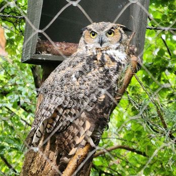 QUEENS ZOO - Updated September 2025 - 1111 Photos & 219 Reviews - 5351 ...