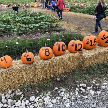 STOCKER FARMS - Updated August 2025 - 193 Photos & 129 Reviews - 8705 ...