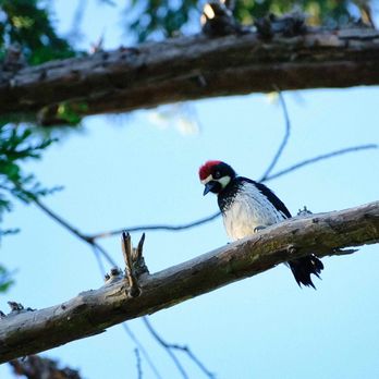 RAGLE RANCH REGIONAL PARK - Updated October 2025 - 65 Photos & 49 ...