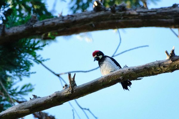 RAGLE RANCH REGIONAL PARK - Updated October 2025 - 65 Photos & 49 ...