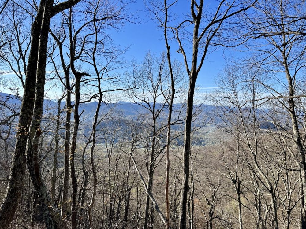 BUCK SPRING GAP OVERLOOK - Updated October 2025 - 11 Photos - Milepost ...