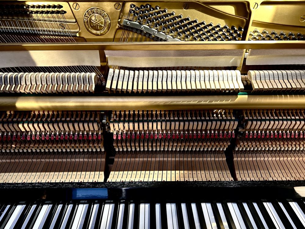 FRIENDLY EAR PIANO SERVICE - Updated September 2025 - 12 Photos - Long ...