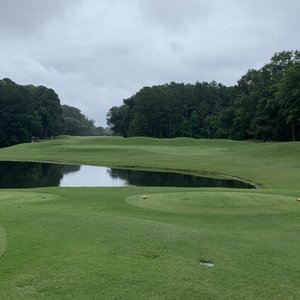 OLD SOUTH GOLF LINKS - 74 Photos & 37 Reviews - 50 Buckingham ...