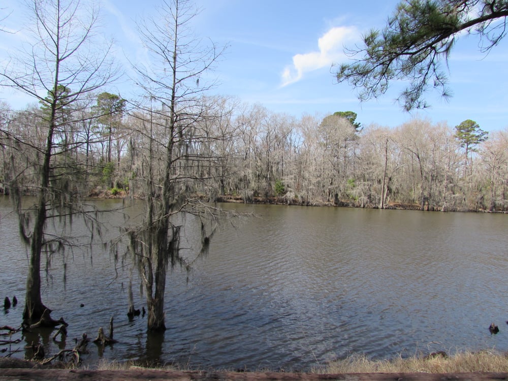 CADDO LAKE - Updated November 2024 - 18 Photos - 15600 Fm 134, Karnack ...