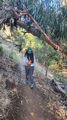 POLY CANYON TRAIL - Updated November 2025 - 38 Photos & 15 Reviews ...