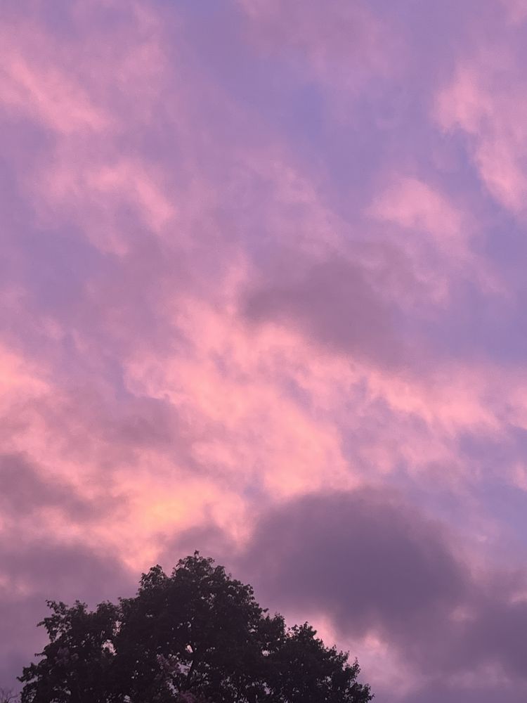 BRODY ATKINSON - Updated August 2024 - Albemarle, North Carolina - Lawn ...