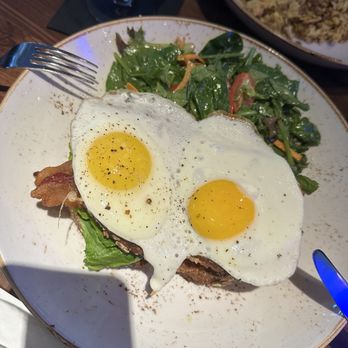 THE BLUE DOG COOKHOUSE AND BAR - 355 Photos & 155 Reviews - 6000 Glades ...