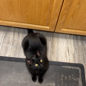 PETS R’INN - Updated January 2025 - 2800 S Columbia Rd, Grand Forks ...