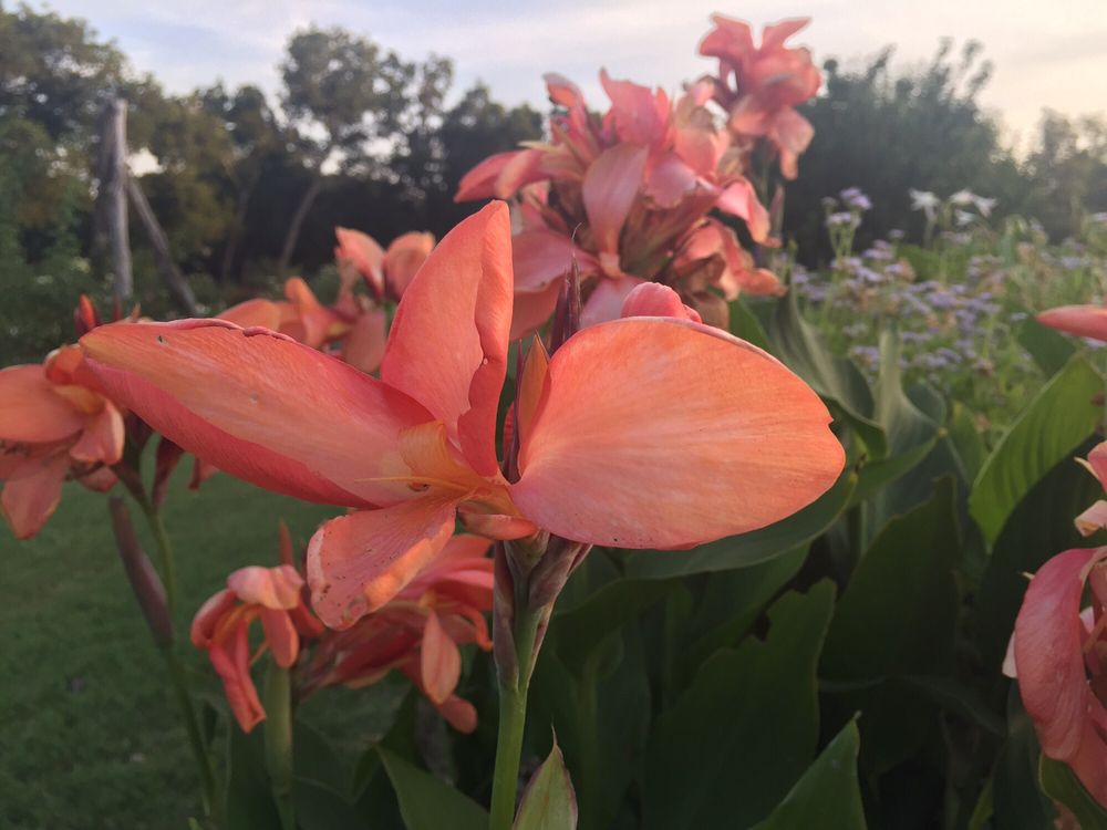 GUSSIE FIELD WATTERWORTH PARK - Updated July 2024 - 16 Photos - 2610 ...