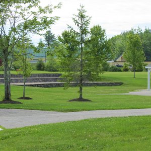 QUARRY RUN DOG PARK - Updated March 2025 - 34 Photos & 21 Reviews ...