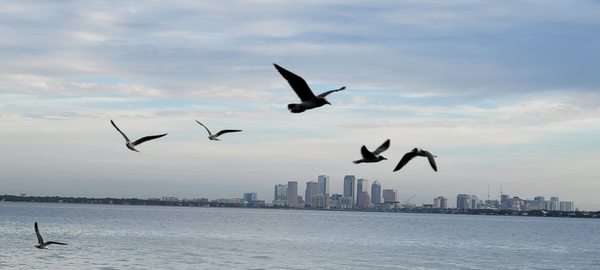 BALLAST POINT PARK - Updated December 2024 - 209 Photos & 87 Reviews ...