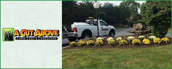 A CUT ABOVE LAWN CARE AND LANDSCAPE - Updated October 2025 - 12 Photos ...