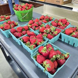 TROYER’S COUNTRY STORE - Updated October 2025 - 87 Photos - 10599 South ...