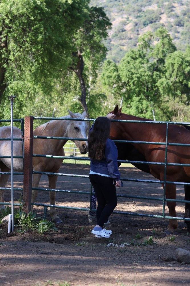 RIATA RANCH INTERNATIONAL - Updated April 2025 - 63 Photos & 12 Reviews ...