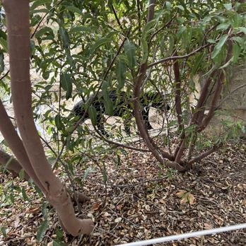 OC ZOO IRVINE REGIONAL PARK - Updated September 2025 - 111 Photos & 40 ...