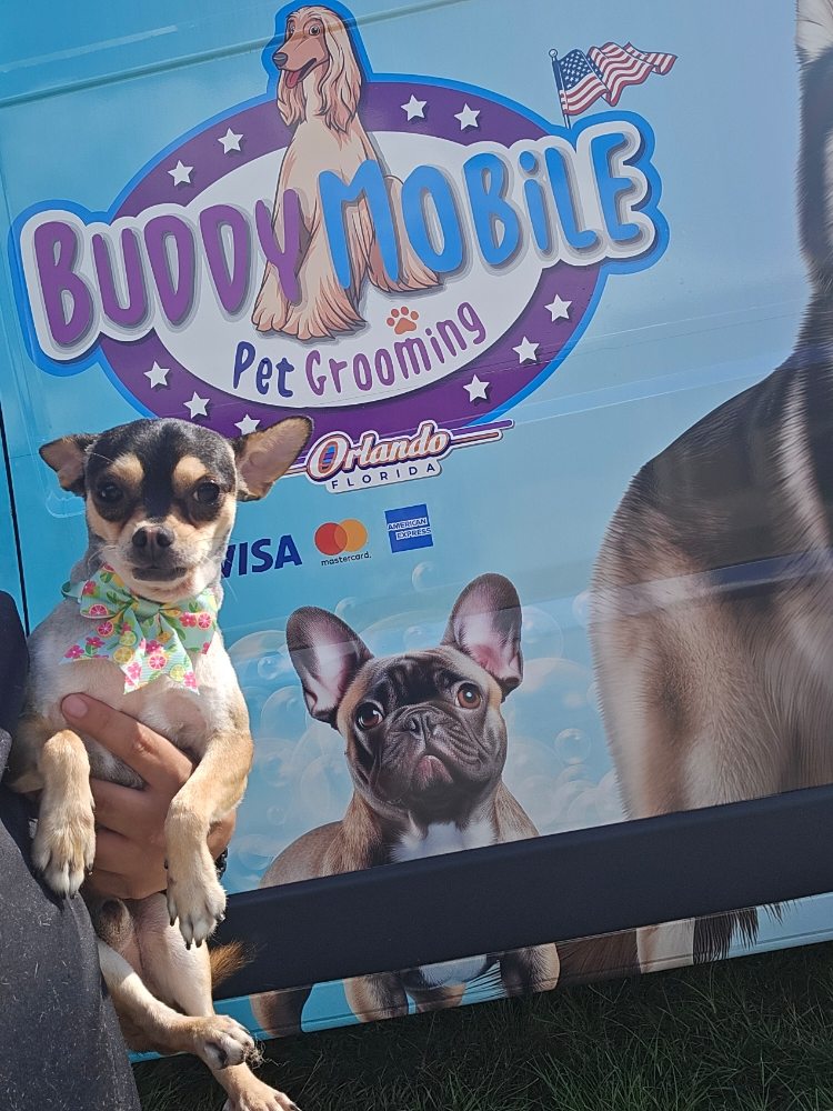 BUDDY MOBILE PET GROOMING - Updated April 2025 - 25 Photos - 7726 ...