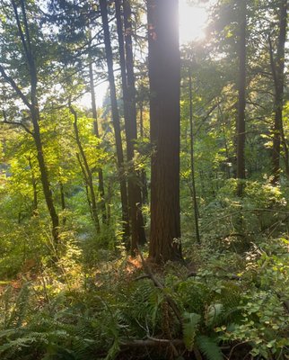 MAIN STREET MARIJUANA - Updated February 2025 - 39 Photos & 197 Reviews ...