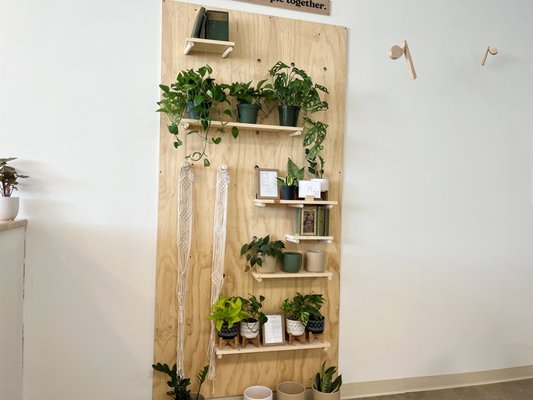 7TH DAY COFFEE - Updated March 2025 - 129 Photos & 79 Reviews - 743 ...