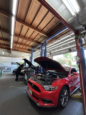 FREMONT AUTO CENTER - Updated April 2026 - 38 Photos & 134 Reviews ...