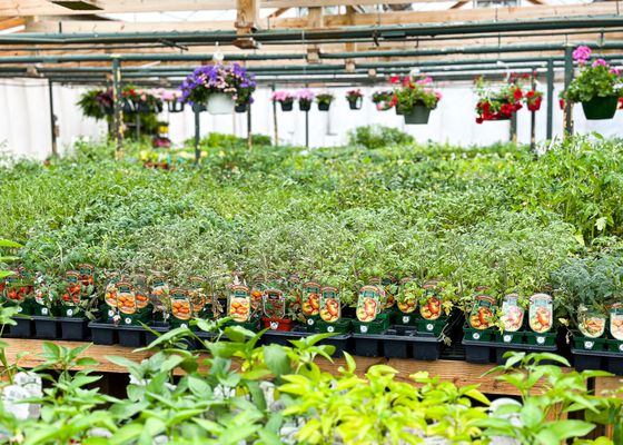 BATES NURSERY AND GARDEN CENTER - Updated October 2025 - 290 Photos ...