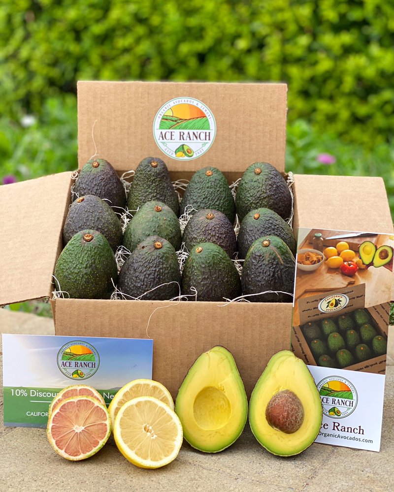 ACE RANCH - Updated December 2025 - 12 Photos & 24 Reviews - 30555 ...