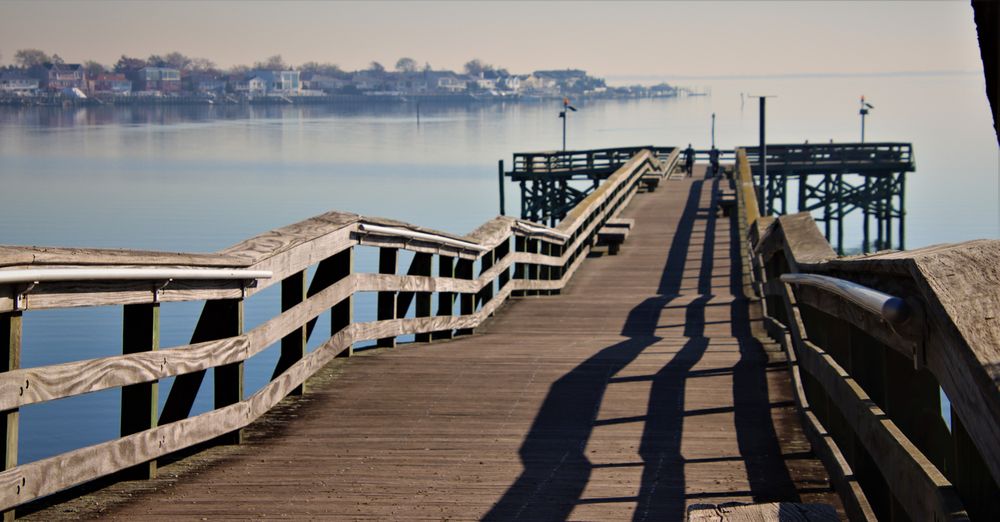 Norman J Levy Park & Preserve - 344 Photos & 47 Reviews - Parks - 1600 ...