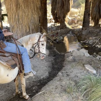 SMOKE TREE STABLES - Updated December 2025 - 354 Photos & 322 Reviews ...