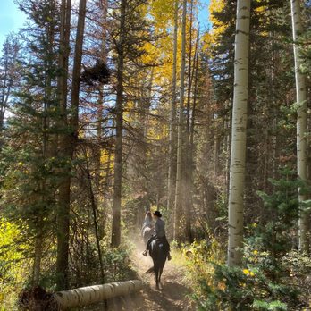 RED PINE ADVENTURES - 76 Photos & 88 Reviews - 2050 W White Pine Canyon ...