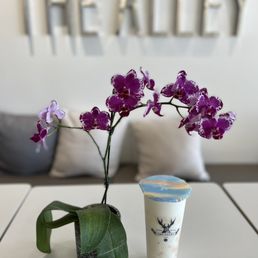 THE ALLEY - Updated December 2025 - 387 Photos & 238 Reviews - 5665 ...