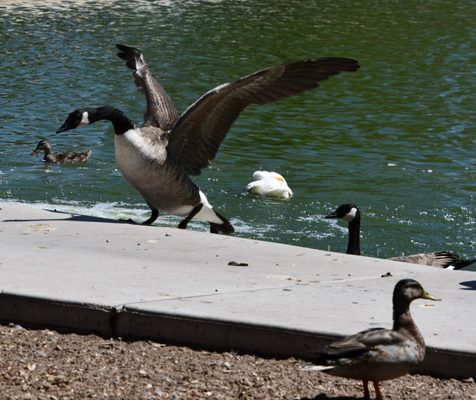 TINGLEY BEACH - Updated August 2025 - 191 Photos & 42 Reviews - 1800 ...