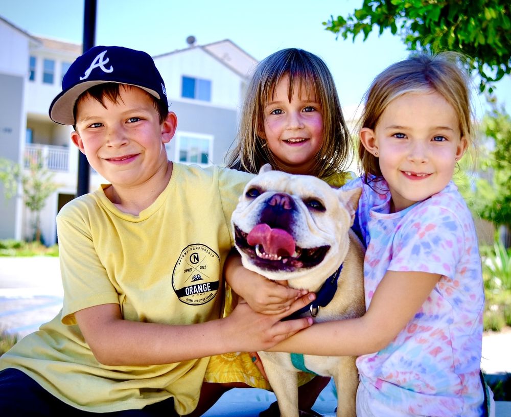 SHAGGY SHUTTERBUG PHOTOGRAPHY - Updated July 2024 - 23 Photos - Los Angeles, California - Pet ...