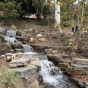 UCLA MATHIAS BOTANICAL GARDEN - Updated January 2026 - 462 Photos & 117 ...
