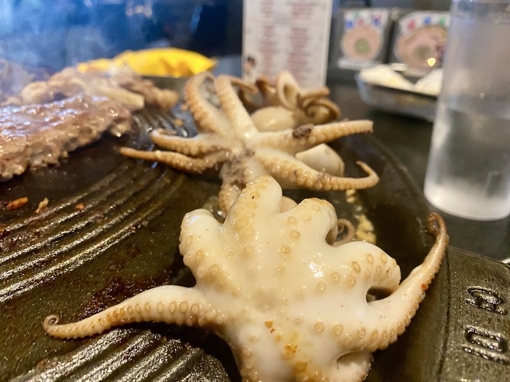 HONEY PIG KOREAN BBQ - Updated January 2026 - 59 Photos & 59 Verified ...