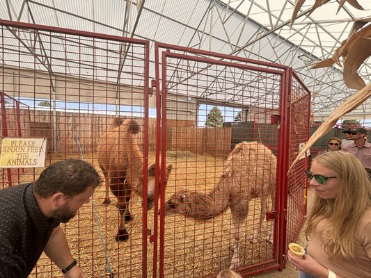 GOEBBERT’S FARM - Updated December 2025 - 349 Photos & 194 Reviews ...