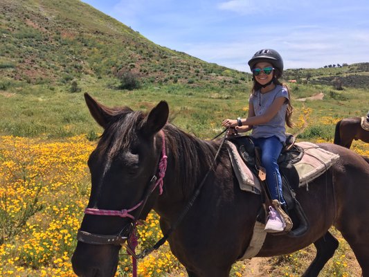 SUSIE Q RANCH - Updated December 2025 - 243 Photos & 202 Reviews ...