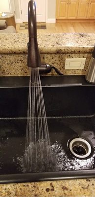 Drain Terrier - Updated October 2025 - 41 Photos - 93 Reviews - 6515 ...