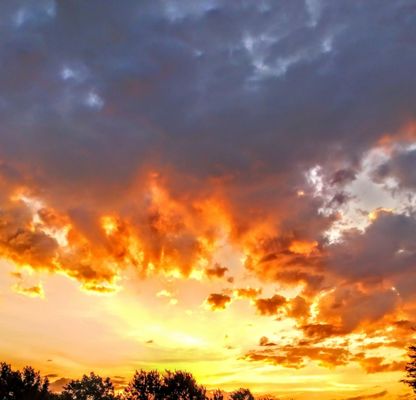 ROCKLEDGE PARK - Updated December 2025 - 229 Photos & 50 Reviews - 3600 ...