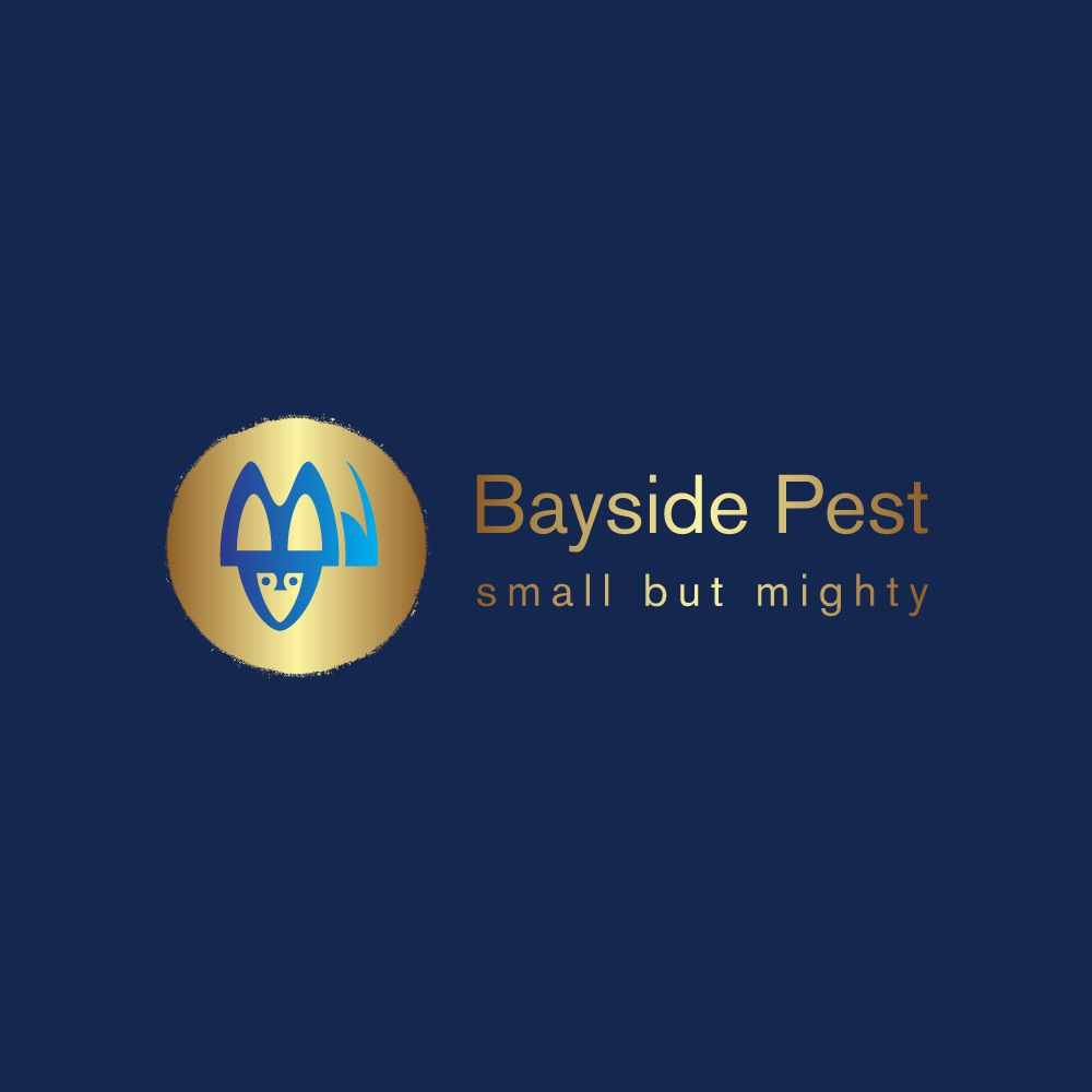 BAYSIDE PEST CONTROL - Updated September 2024 - 7305 Hancock Village Dr ...