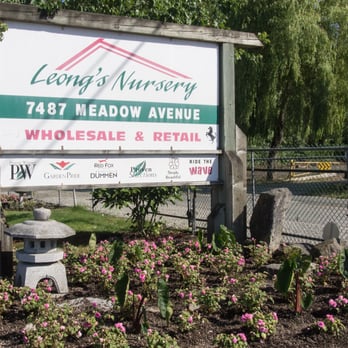 LEONG’S NURSERY - Updated December 2025 - 24 Photos - 7487 Meadow ...