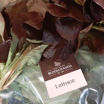 BLOOM RANCH OF ACTON - Updated April 2025 - 125 Photos & 49 Reviews ...