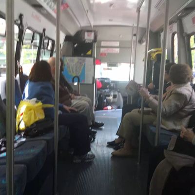 DOWNTOWN CONNECTION BUS - Updated November 2025 - 11 Reviews - BOWLING ...