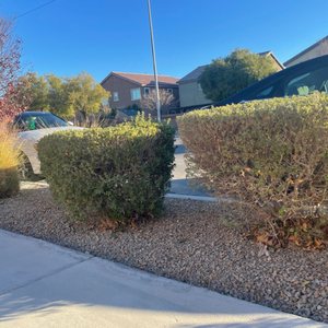 NEVADA COMMUNITY MANAGEMENT - Updated October 2025 - 18 Photos & 67 ...