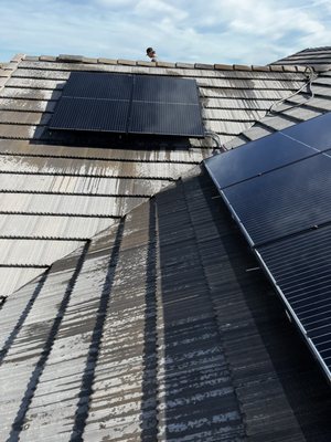 BIRD PROOF - Updated May 2024 - 69 Photos & 35 Reviews - 2194 Mozart ...