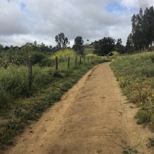 PETERS CANYON HIKE - 1038 Photos & 359 Reviews - 26981 Peters Canyon Rd ...