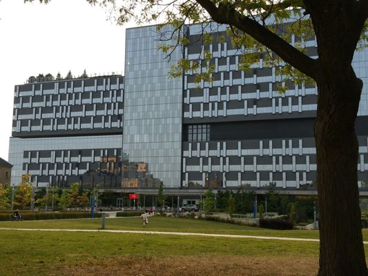 TIM HORTONS - Updated December 2025 - 65 Photos & 10 Reviews - 1 ...